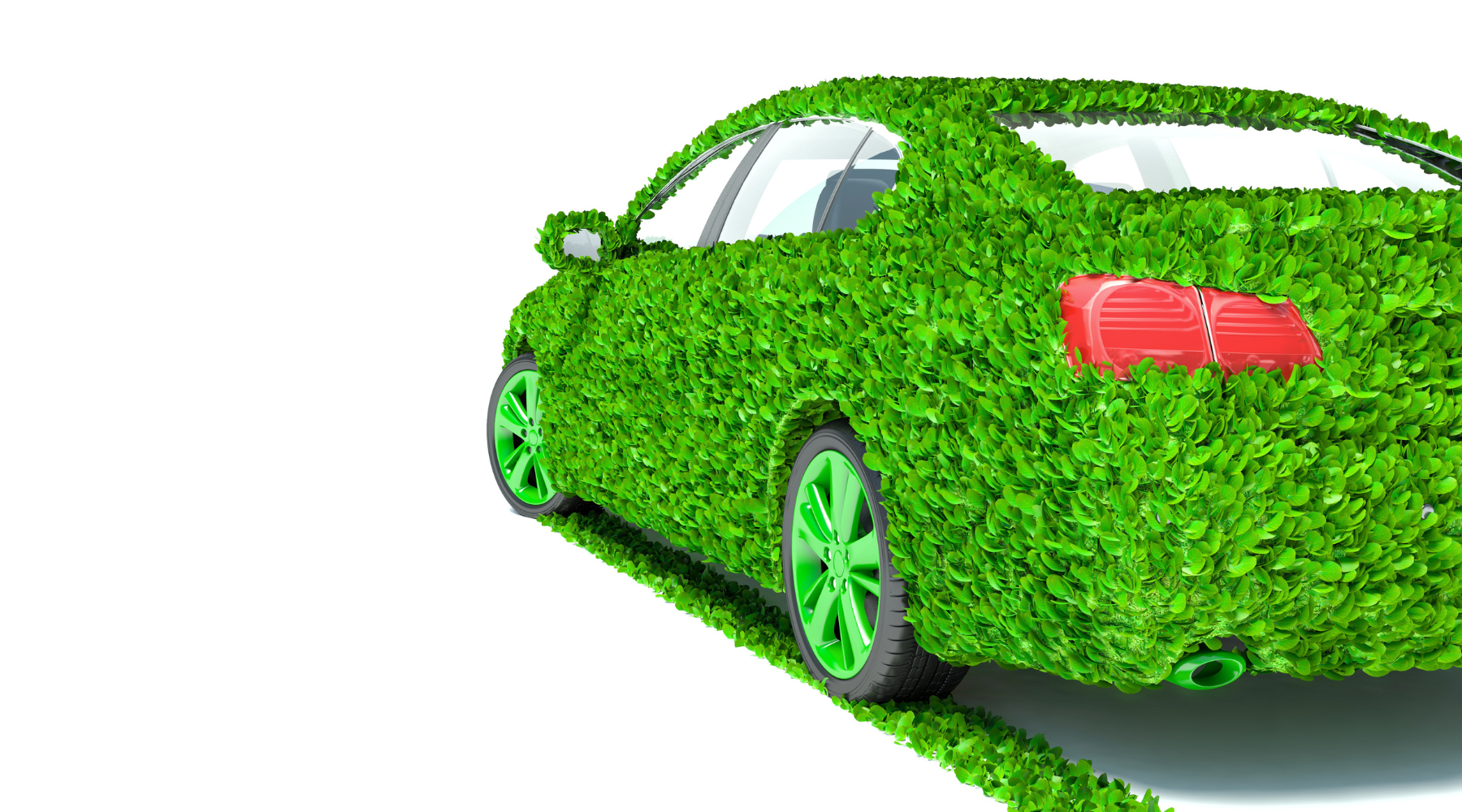 Eco-Friendly Car Cleaning: Sustainable Solutions for a Greener Ride ...