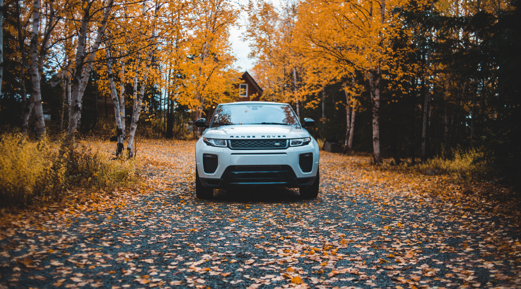 Fall Car Care Made Easy | Simple Tips for Safer, Cleaner Drives ...