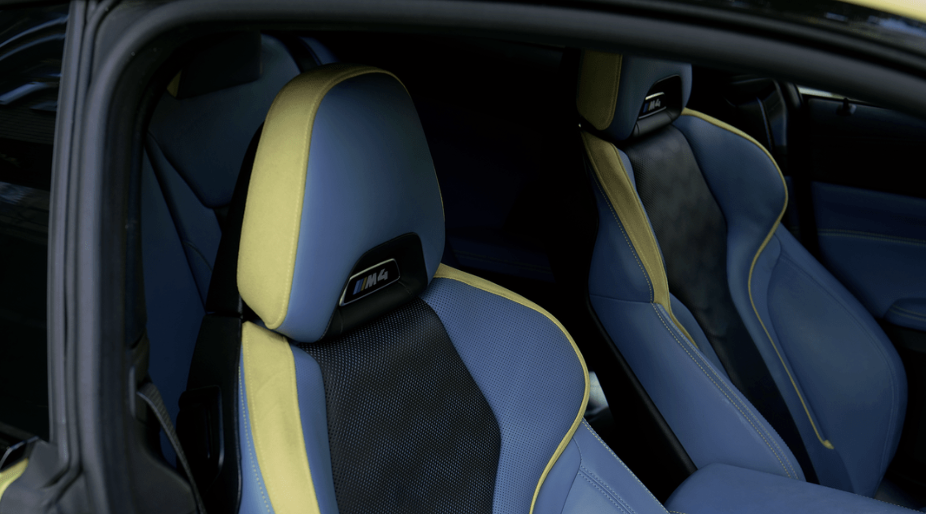 How to Remove Mold in a Car: A Complete Guide to Eliminating Interior ...