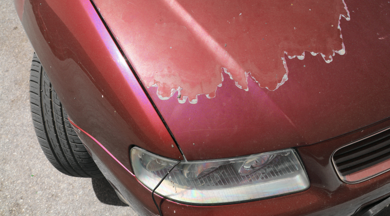 Sun Damage on Car Paint: Causes, Fixes, and Prevention – AutoManiacs